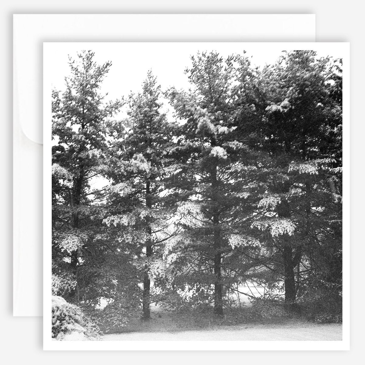 Note Card - Winter Trees - Jao Brand | Jao Brand